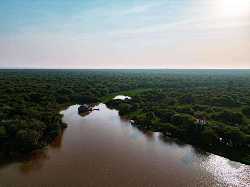 Bird Watching at Tonle Saps Inundated Forest From Siem Reap - Deep Dive into the Experience