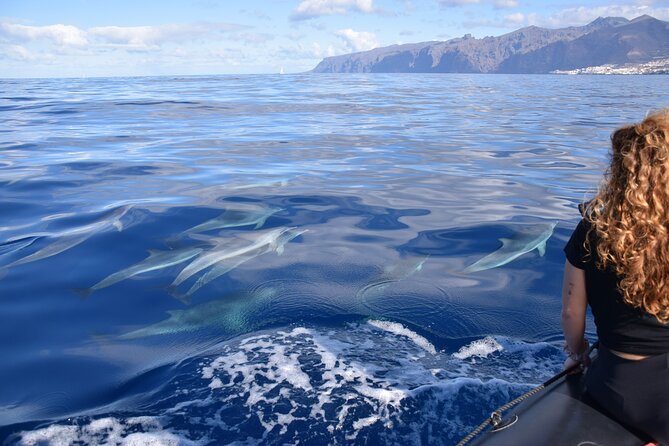 Bonadea II Ecological Whale Watching, 2 hours - The Boat and Comfort Level