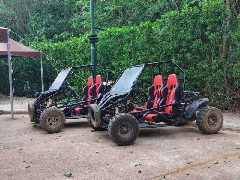 Boracay: All-Terrain Vehicle or Buggy Car Experience - The Vehicles and Safety Measures