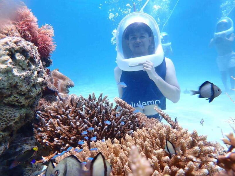 Boracay: Aquanaut Helmet Diving Experience - Considerations for Your Visit