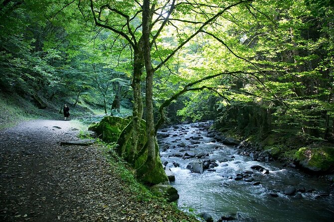 Borjomi, Rabati, and Vardzia Guided Day Trip - Value and Overall Impression