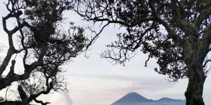 Bromo Midnight Tour - Authentic Experience and Cultural Touchpoints