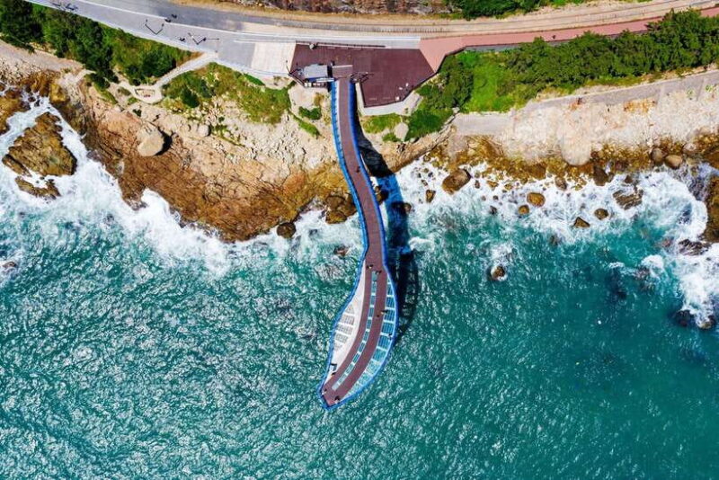 Busan: Max Out City Highlights Full-Day Tour - Who Should Consider This Tour?