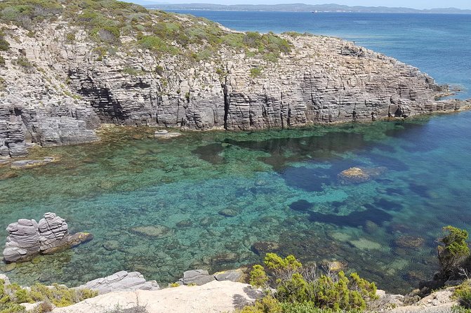 Cagliari: San Pietro Island and Carloforte Private Experience - Practical Tips for Your Trip