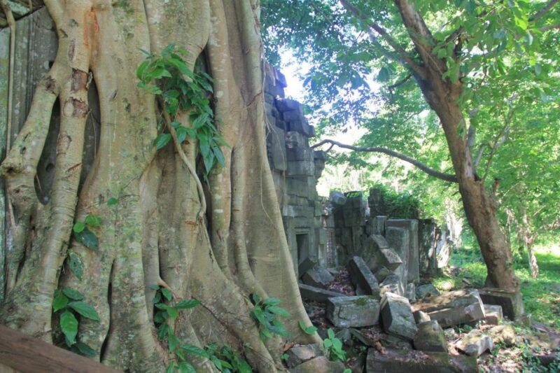 Cambodia Cooking Class, Oxcart Ride with Local Village Tour - Frequently Asked Questions