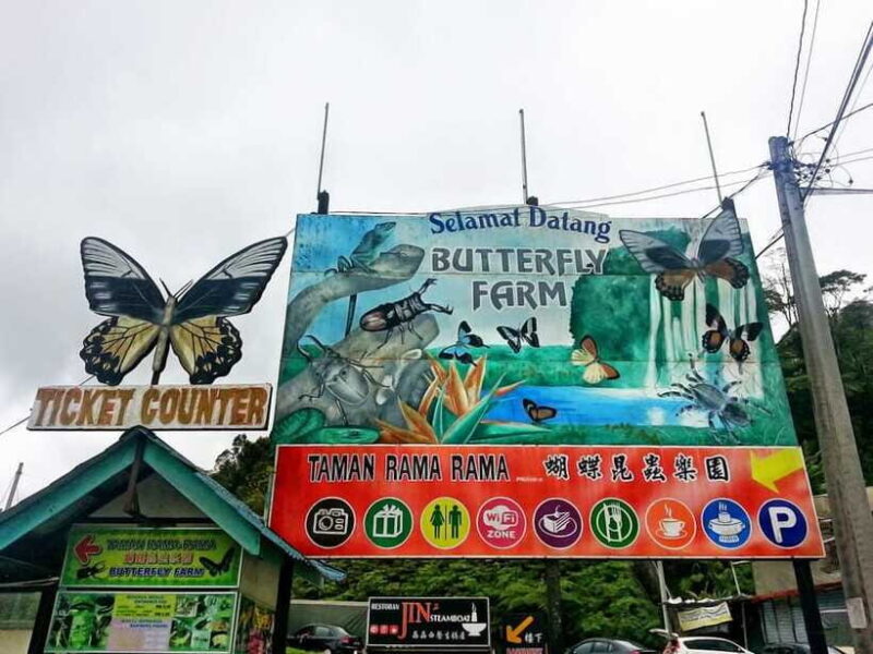 Cameroon Highland : Best nature in highland - Fun with Nature: Butterfly and Insect Farm