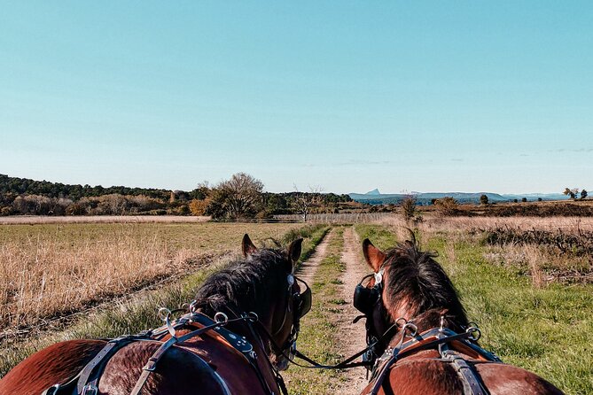 Carriage rides, Pays de Sommières - FAQ