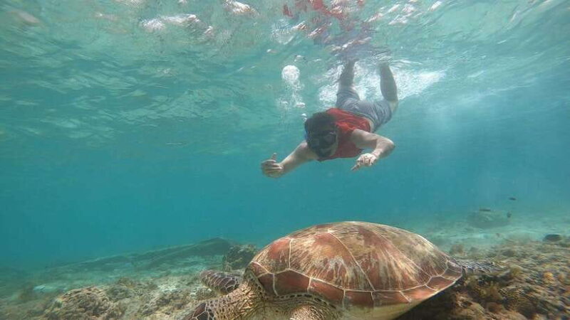 Cebu: Pescador Island, Sardines run and Kawasan Canyoneering - Who Should Consider This Tour?
