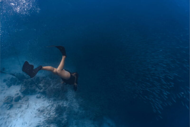 Cebu: Sardine & Turtle Snorkelling Run & Mantayupan Falls - Final Thoughts
