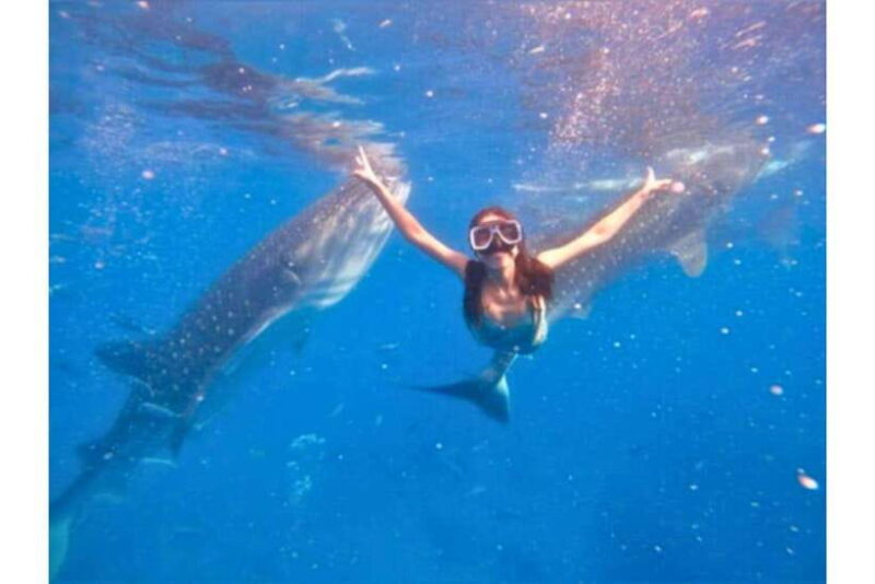 Cebu: Whale Shark Swim and Kawasan Canyoneering Group Tour - FAQs