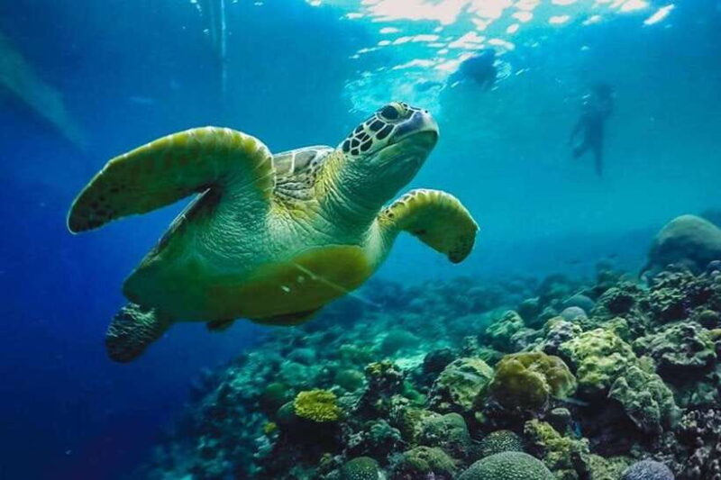 Cebu:ATV, Mantayupan Falls & Pescador Island Hopping w/Meals - Practical Tips for Travelers