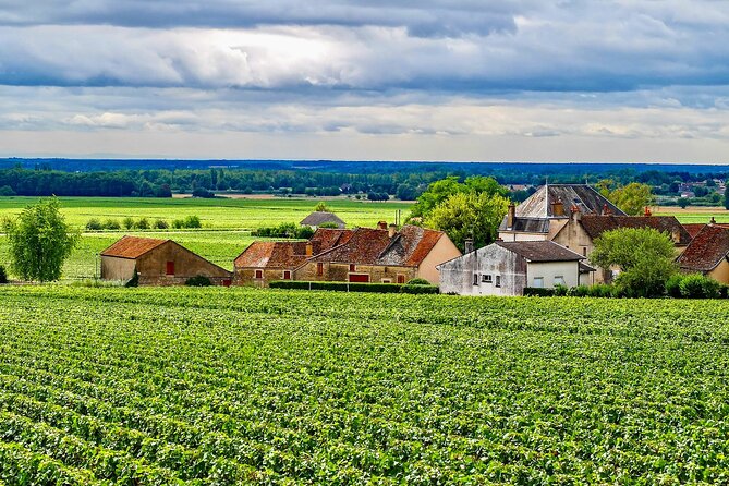 Chablis 20 Exquisite Wines Tasting Trip in Small-Group from Paris - Final Thoughts