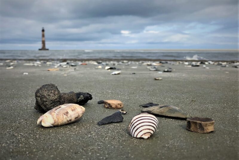 Charleston: Morris Island Dolphin Cruise with Beachcombing - What Travelers Love (and What to Consider)