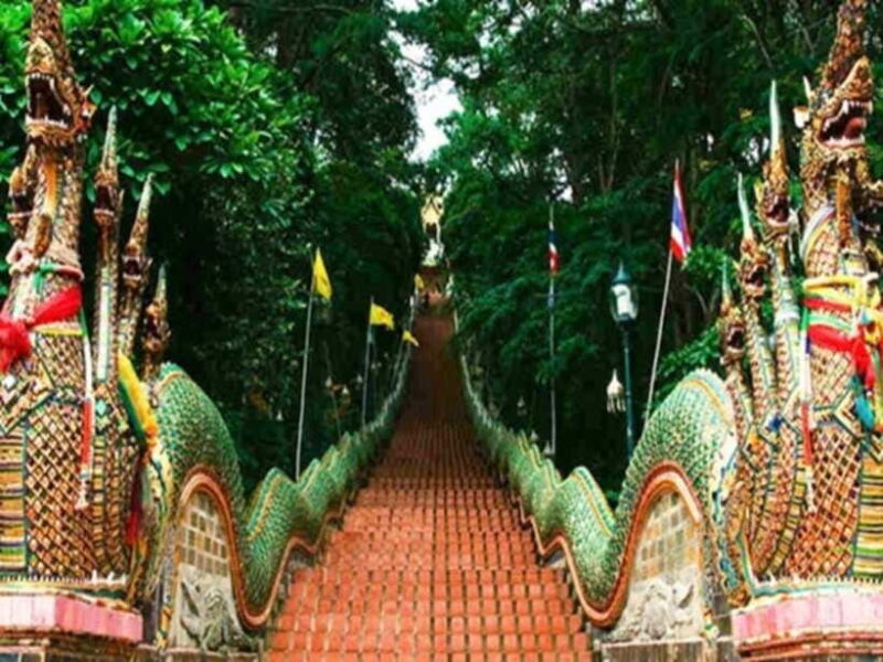 Chiang Mai City Tours with Professional Driver. - The Sum Up