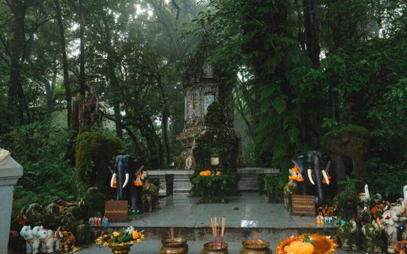Chiang Mai: Doi Inthanon National Park Sightseeing Only - Final Thoughts: Is It Worth It?
