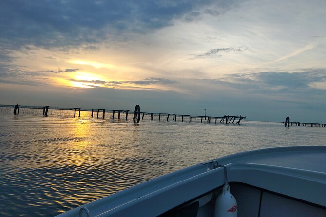 Chioggia : Aquaculture Secrets Tours of the Lagoon - The Sum Up