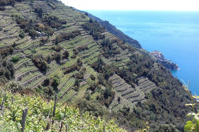 Cinque Terre unforgettable hiking experience - FAQ