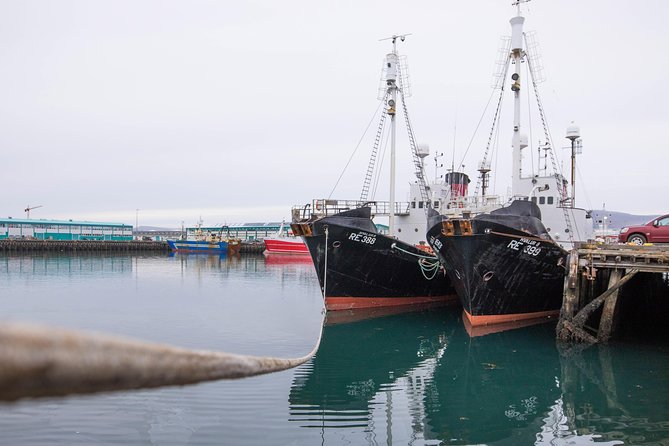 City Sightseeing Reykjavik Hop-On Hop-Off Bus Tour: 24 or 48-Hour - Who Should Consider This Tour?