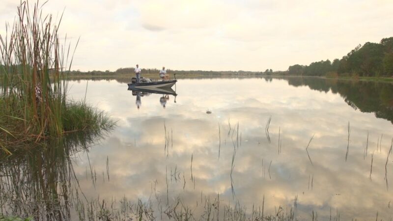 Clermont: Trophy Bass Fishing Experience with Expert Guide - Reviews and Authentic Perspectives
