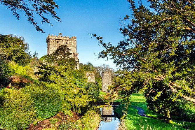 Cobh (Cork) to Blarney Castle & Kinsale - Shore Excursion - FAQ