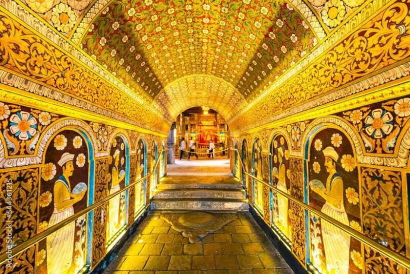 Colombo to Kandy, Pinnawela and Tea Factory Day Tour - Value and Pricing