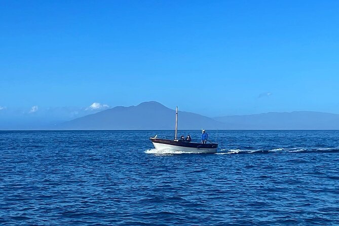 Complete Private Guided Two Hour Tour of the Coast of Capri - The Sum Up: Who Will Love This Experience?