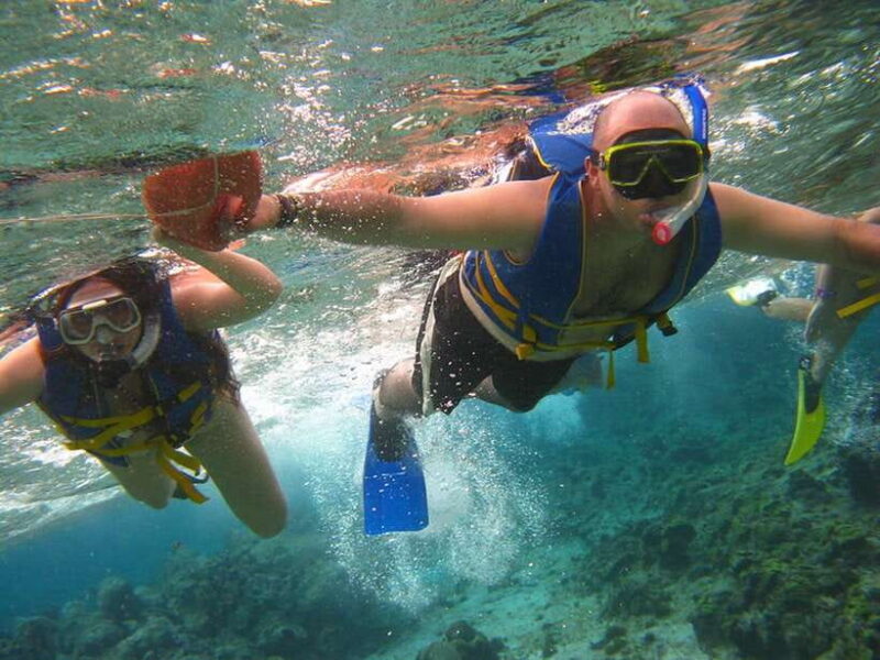 Coron: Coastal Cliffs, Beach & Malcapuya Island Hopping Tour - Who Should Consider This Tour