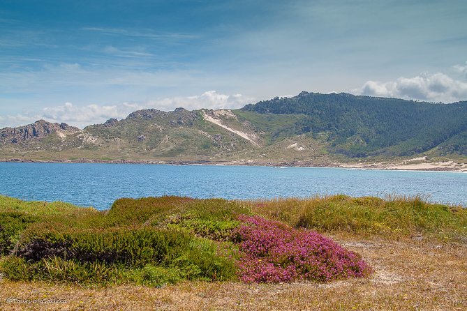 Costa da Morte/Finisterre from La Coruña Private Tour/Shore excursion - The Sum Up: Is It Worth It?