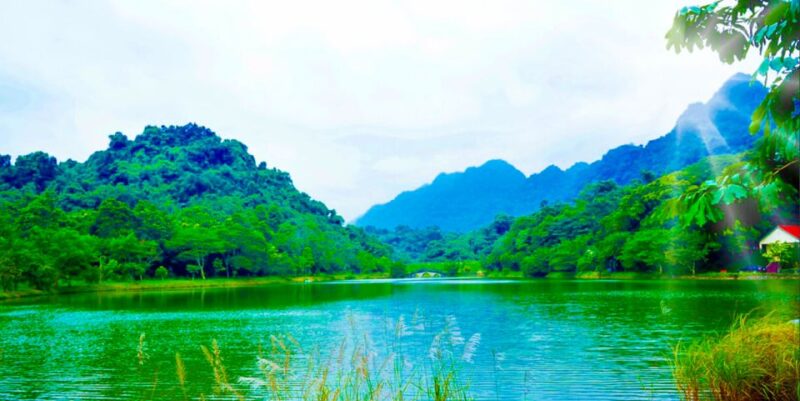 Cuc Phuong Forest - The Forest Of Thousands Of Butterflies - Practical Considerations and Value