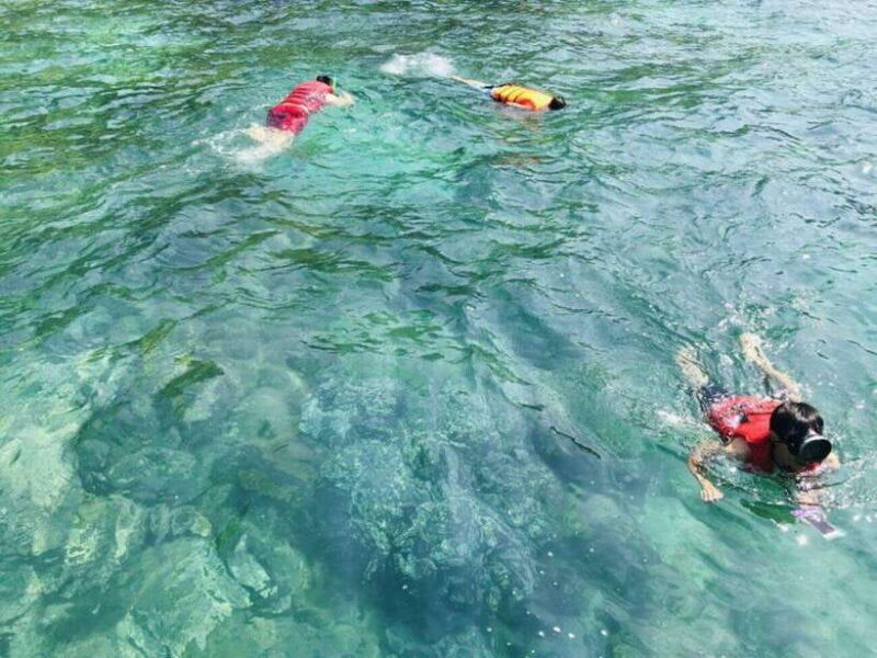 Da Nang/Hoi An:Explore Cham Island and Snorkeling tour 1 Day - Authentic Experiences from Travelers
