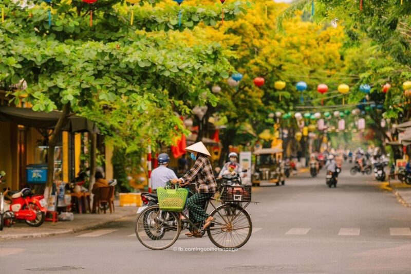 Da Nang: My Son Sanctuary and Hoi An Private Car Day Tour - The Value and Practicality of the Tour