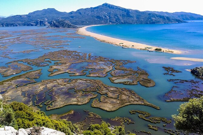 Dalyan Day Trip with Mud Bath and Turtle Beach From Fethiye - Frequently Asked Questions