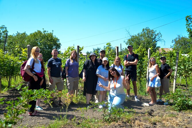 Day Trip to Kakheti Wine Region Including Seven Wine Tastings - Final Thoughts