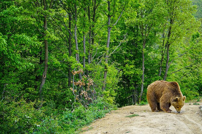 Discover Highlights of Kosovo in 4 days tour! - FAQs