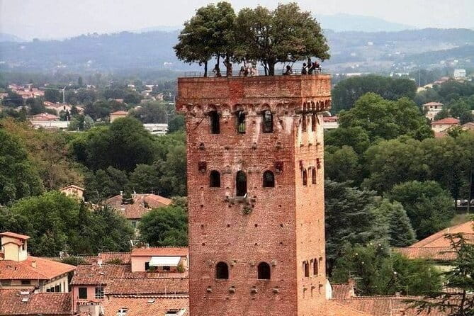Discover Lucca and Pisa and Enjoy Buccellato Cake: Full Day Tour - FAQs