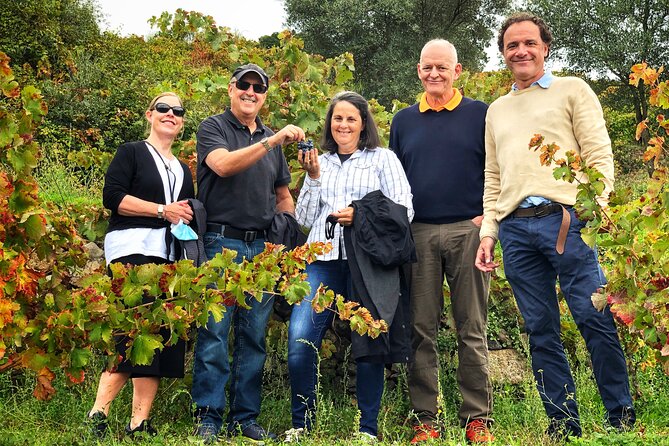 Discover the unique wine and villages of the Sierra de Salamanca - Analyzing the value: is this tour worth it?