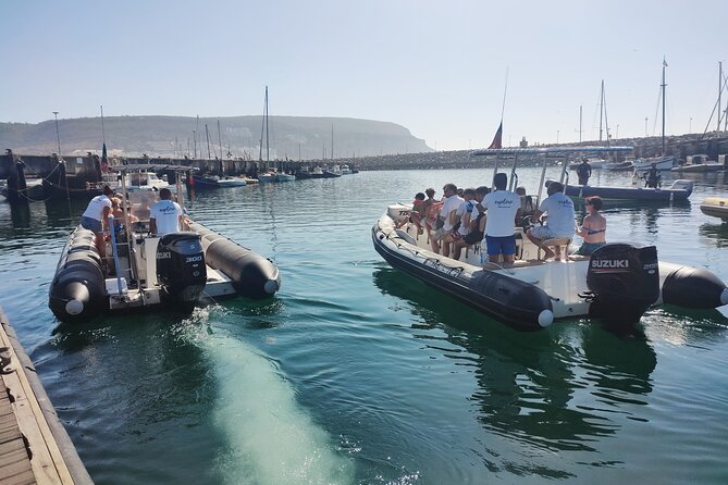 Dolphin Watching and Boat Tour in Sesimbra - Authenticity and Conservation: Why It Matters