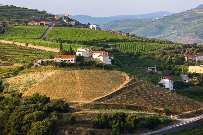 Douro Valley Tour: Wine Tasting, Cruise and Lunch from Porto - Who Should Book This Tour?