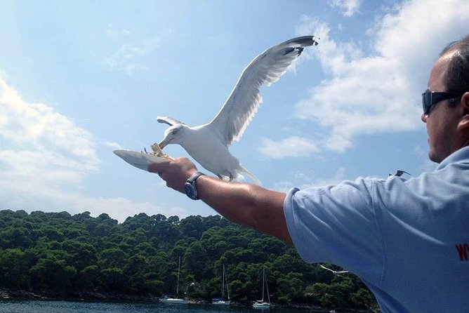 Dubrovnik Elafiti Islands Cruise with Lunch, Drinks and Pickup - The Value Proposition