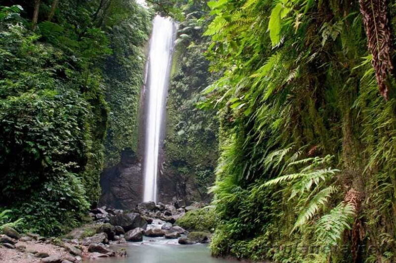 DUMAGUETE CITY TOURS & COUNTRYSIDE - Who Will Benefit Most from This Tour?