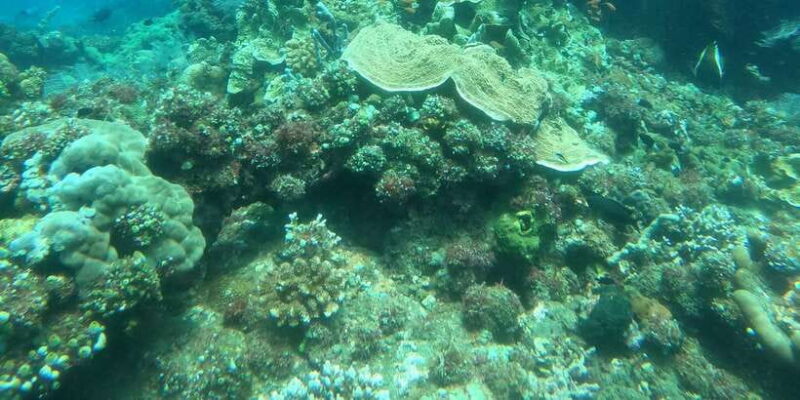 East Bali: Snorkeling Day Trip to Amed - FAQ