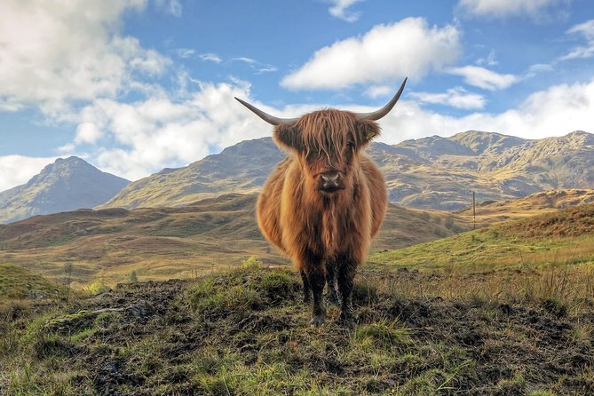 Edinburgh: Loch Ness, Glencoe & The Highlands Day Trip - Who Should Consider This Tour?