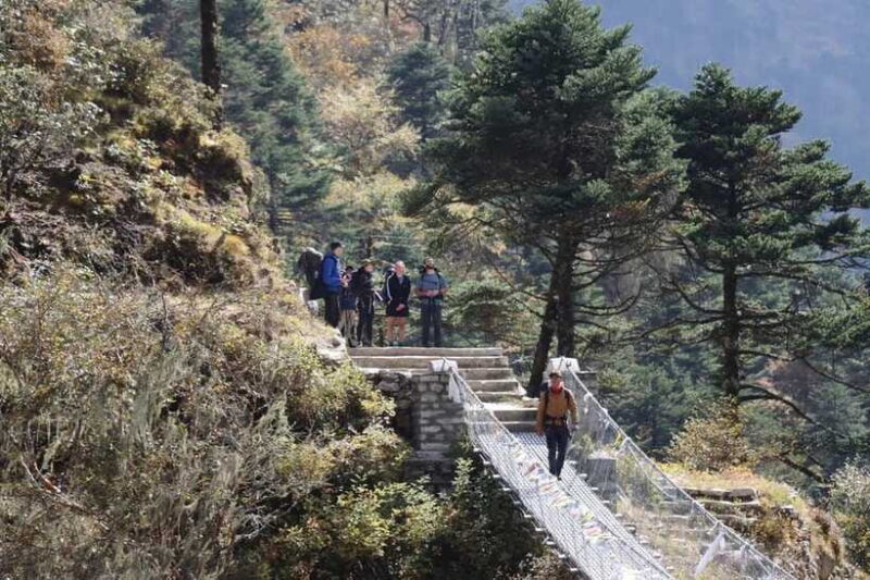 Elevate Your Spirit: A Day Hike through Shivapuri's Splendor - The Experience: What Travelers Are Saying