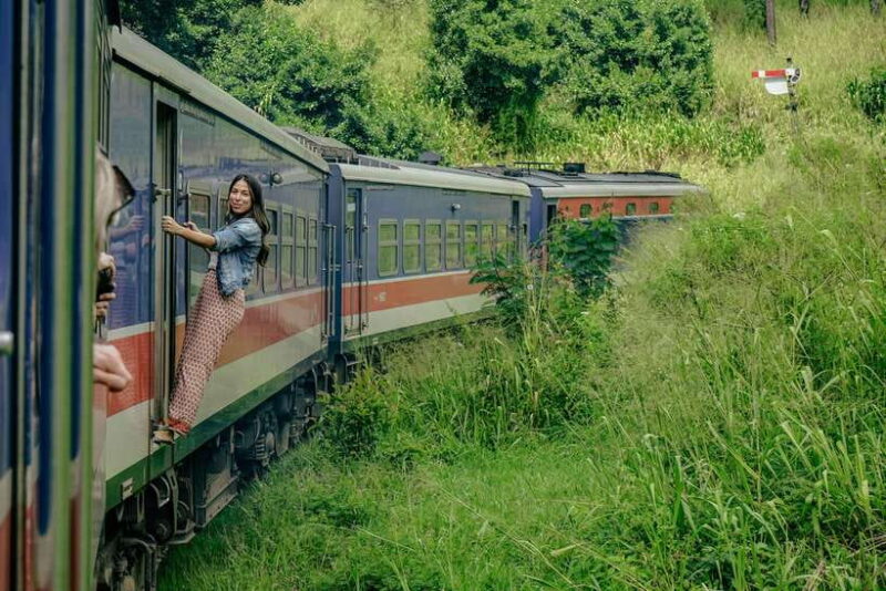 Ella: Guided Day Tour with Tea Estate Visit - The Halpe Tea Estate Experience