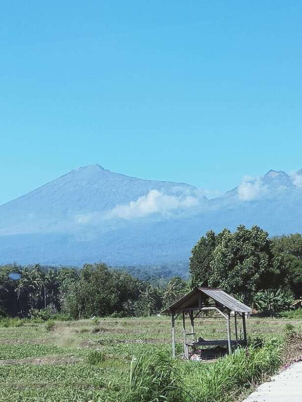 Enjoy the rice field Panorama in Tete batu village - The Sum Up