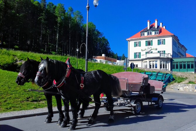 EXCLUSIVE 3 Royal Castle SKIP-THE LINE Tour of Neuschwanstein + Linderhof + Hohenschwangau from Munich - The Sum Up: Is This Tour Right for You?