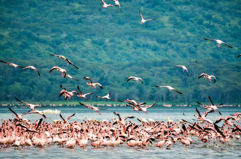 Explore Great Sri Lanka with tourist hot spots in 6 days - Final Thoughts