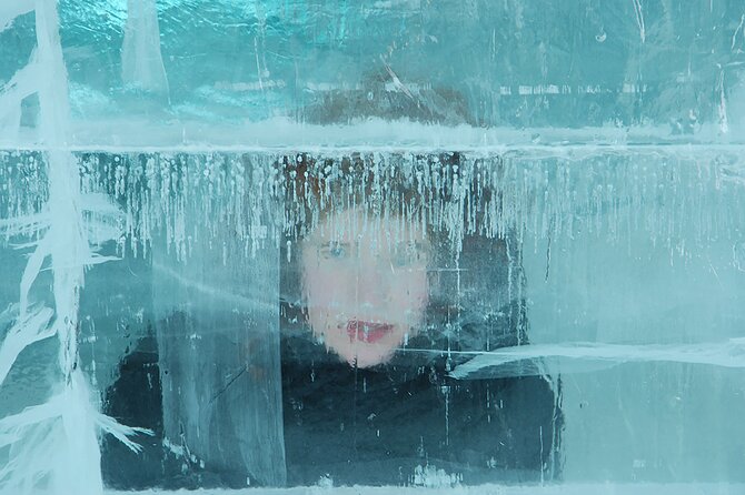 Explore the Icehotel, Day Trip from Abisko - Who Should Consider This Trip?
