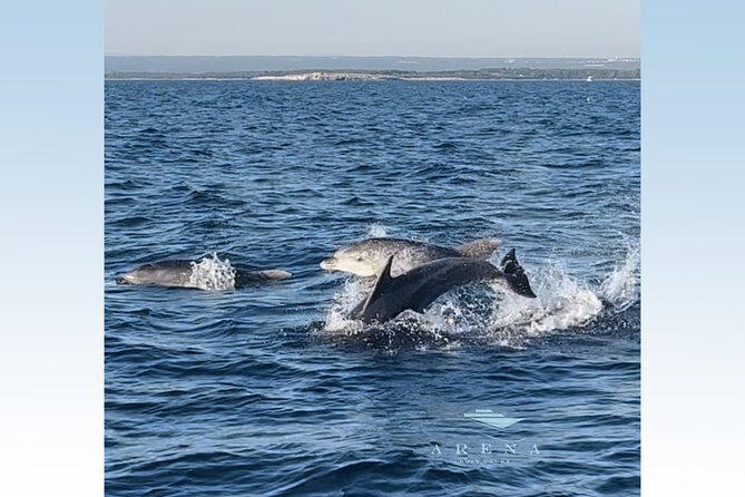 Fantastic DOLPHIN & SUNSET TOUR with dinner (Pula - NP BRIJUNI) - The Sum Up