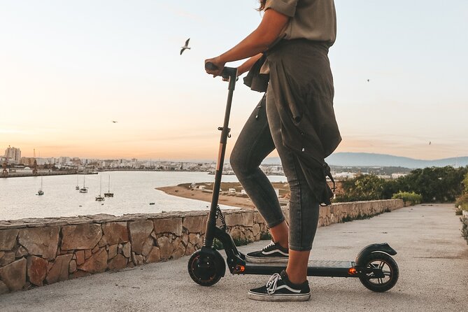 Fat Bikes, e-bikes & Bikes in Ferragudo - The Sum Up